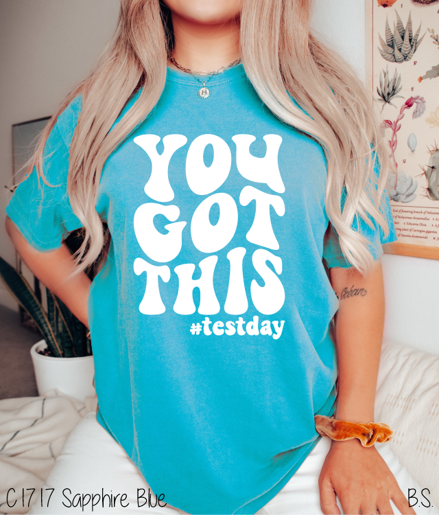 Testing You Got This #BS5234 – Bama Signs & Screens